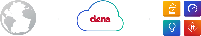Ciena Emulation Cloud